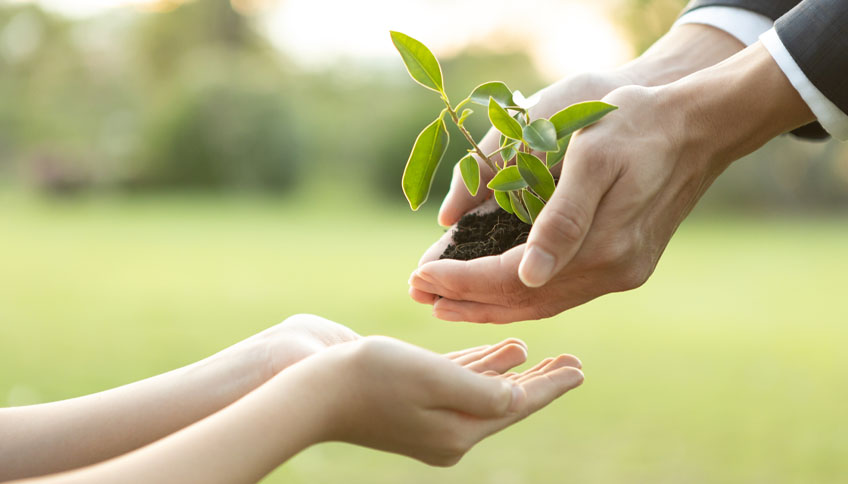 Sustainability - Suga International Holdings Ltd.