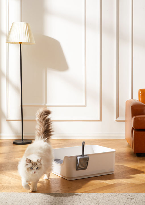 Lifestyle - Suga International Holdings Ltd.